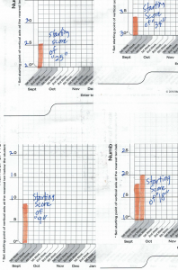 How do you complete the Individual Student graph?