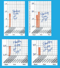 How do you complete the Individual Student graph?
